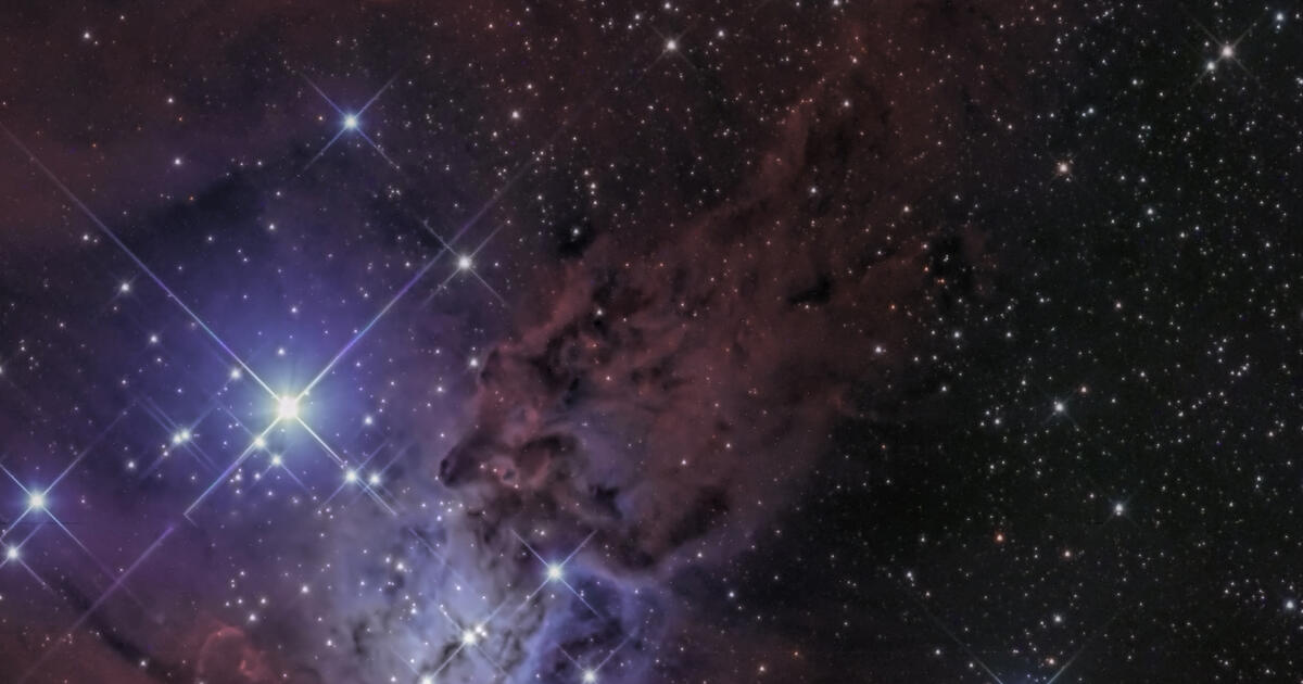 Fox Fur Nebula in Monoceros | Telescope Live Fox Fur Nebula in Monoceros | Telescope Live